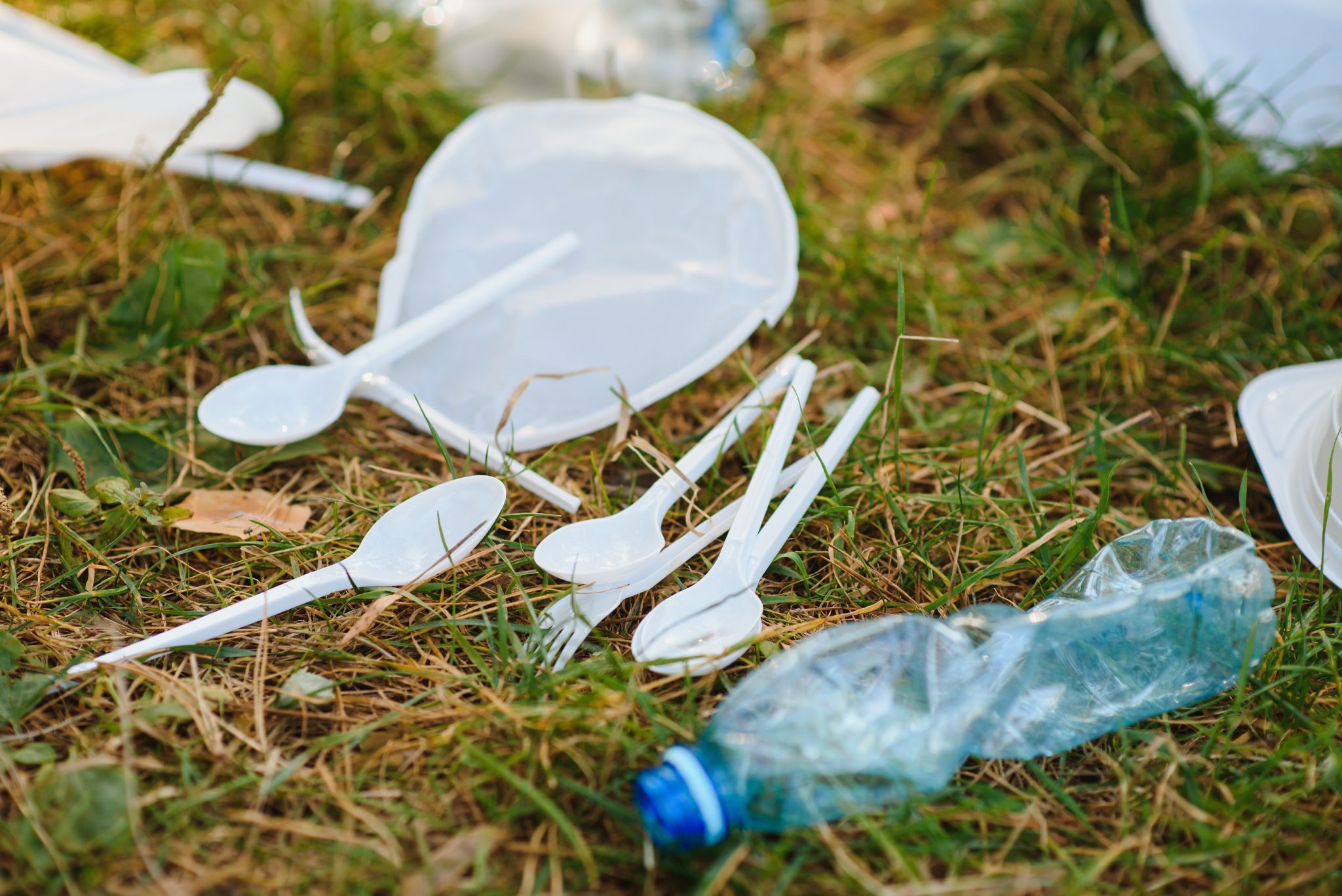 Reuse vs Single-Use Packaging Study Reveals Key Factors